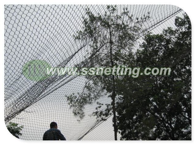 Aviary netting client case - Liulin Zoo Mesh Supplier