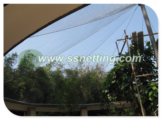 Aviary netting client case - Liulin Zoo Mesh Supplier