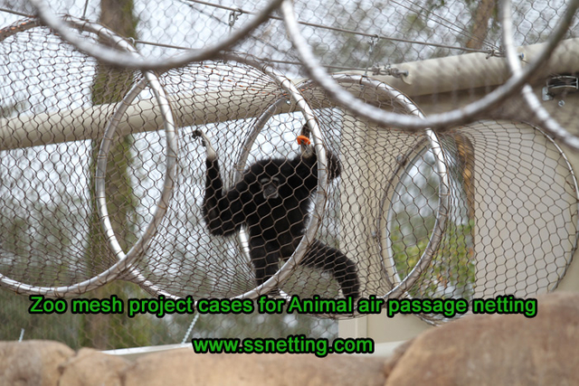 Client Projects Case of wire rope woven zoo mesh - Liulin Zoo Mesh Supplier