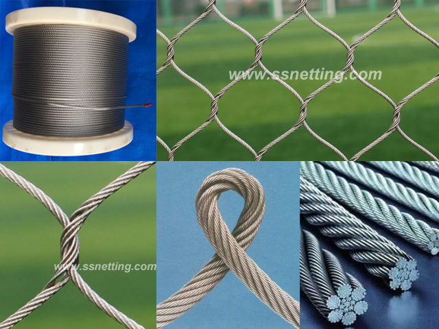 Lion Enclosure Fence Netting - Buy Lion Enclosure Fence Netting, lion ...